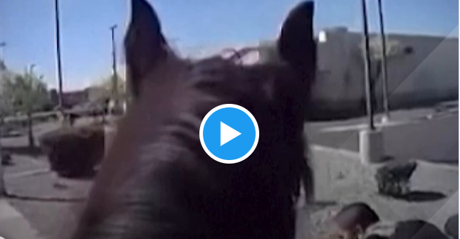 Shocking Video Shows Horse-Mounted Officer Takes Down Robbery Suspect