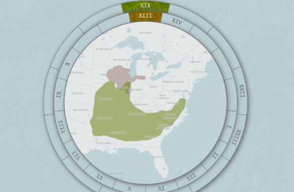Trillions of bugs set to invade major US cities - is your hometown on ...